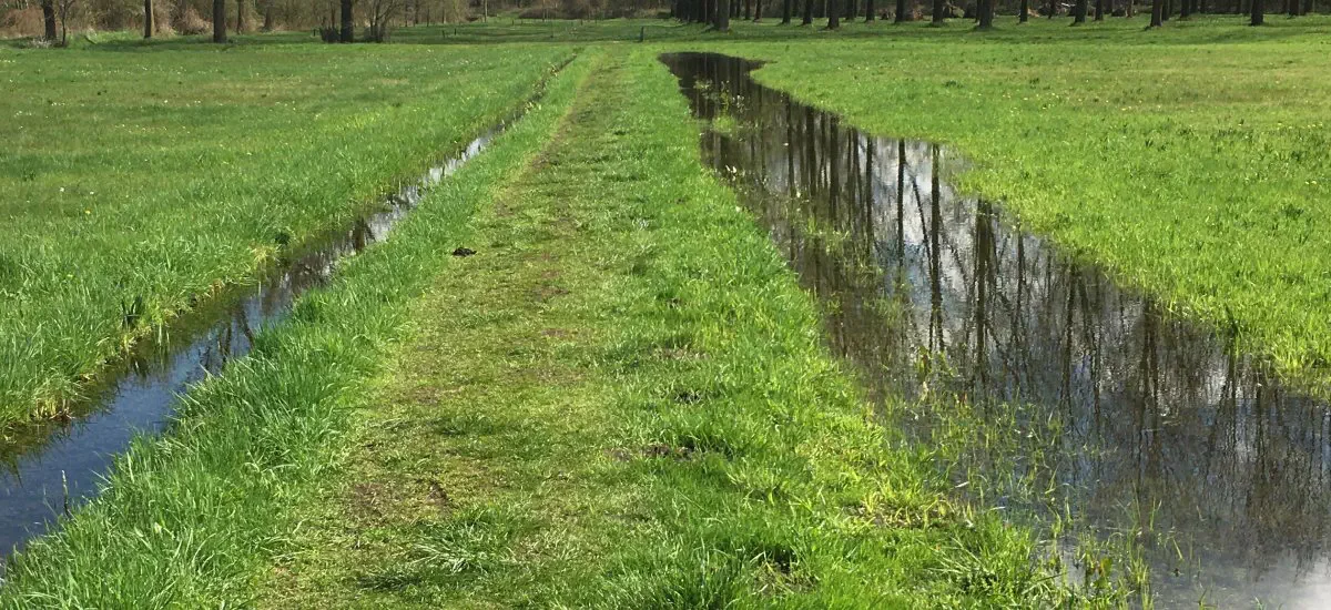 Bevloeiing graslanden als levend erfgoed bekroond door Unesco - FPG