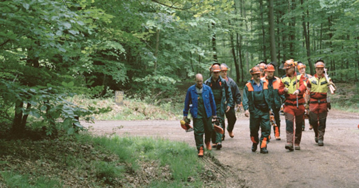 Over Werkgeversbijeenkomst FPG en AVIH over CAO Bos en Natuur - FPG