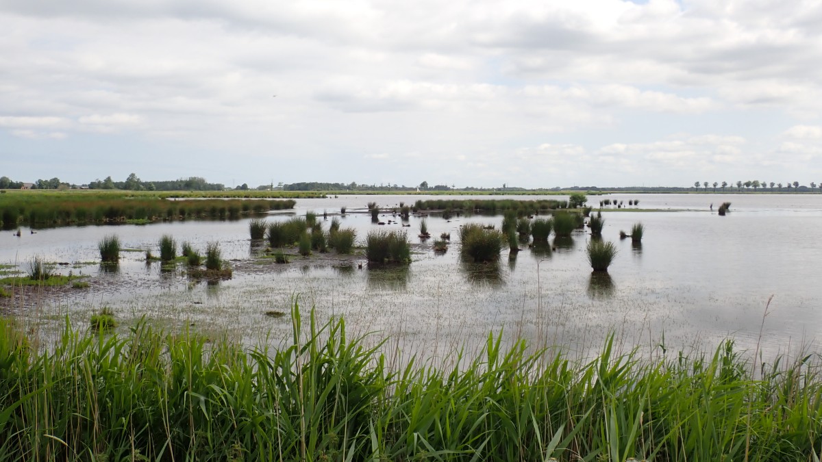 GLB-akkoord in Brussel: minder middelen, meer doelen en maatwerk ...